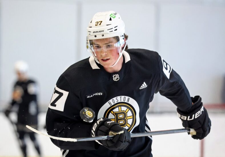 Bruins release Development Camp roster and schedule - ShopBostonSports